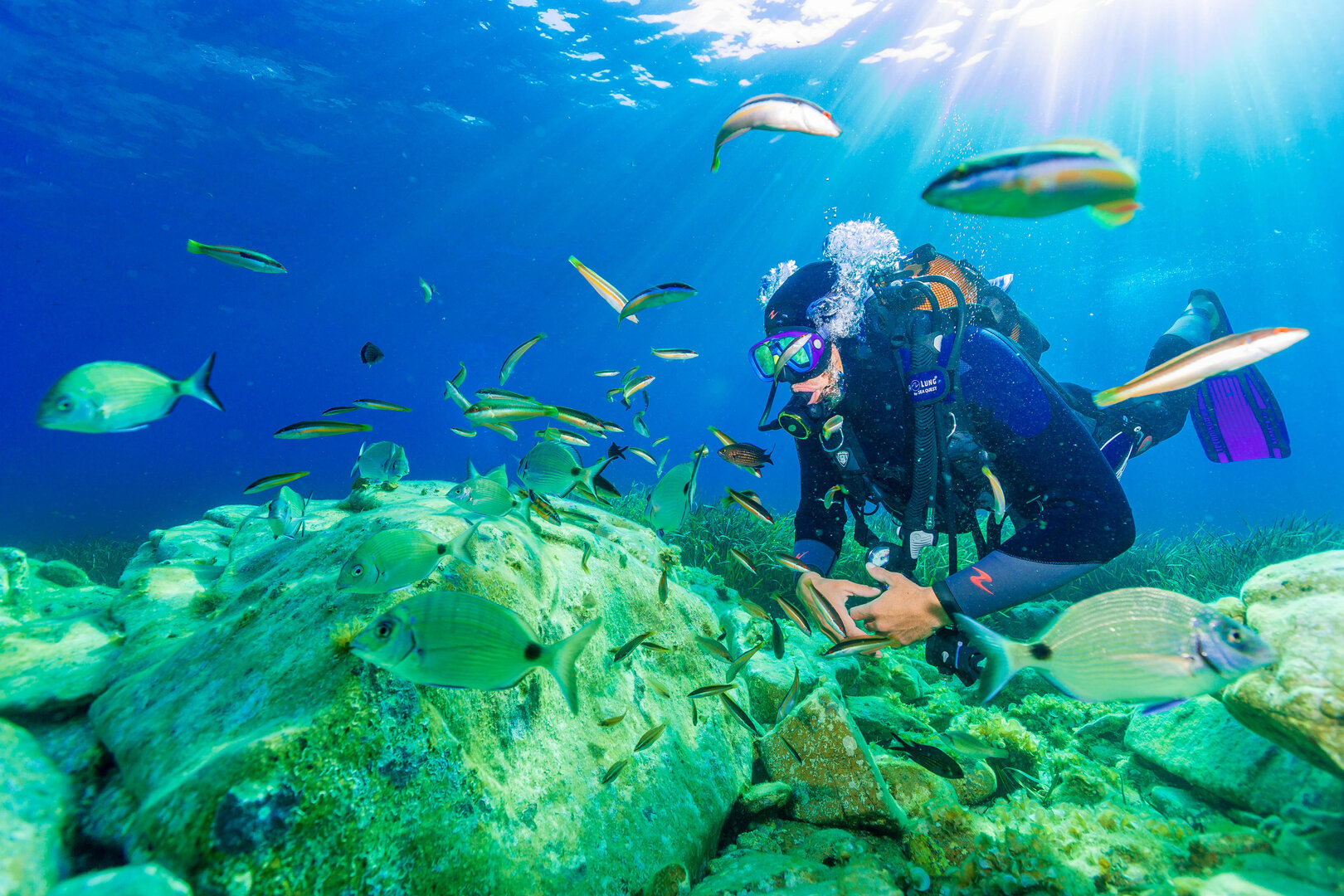 Plongée corse : les plus beaux spots de plongée - Corsicatours