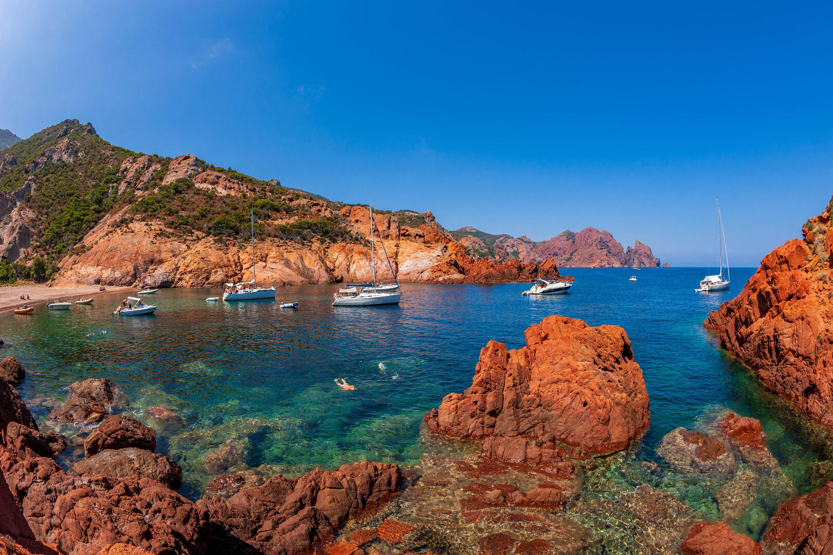 Discovering the Scandola nature reserve - Corsicatours